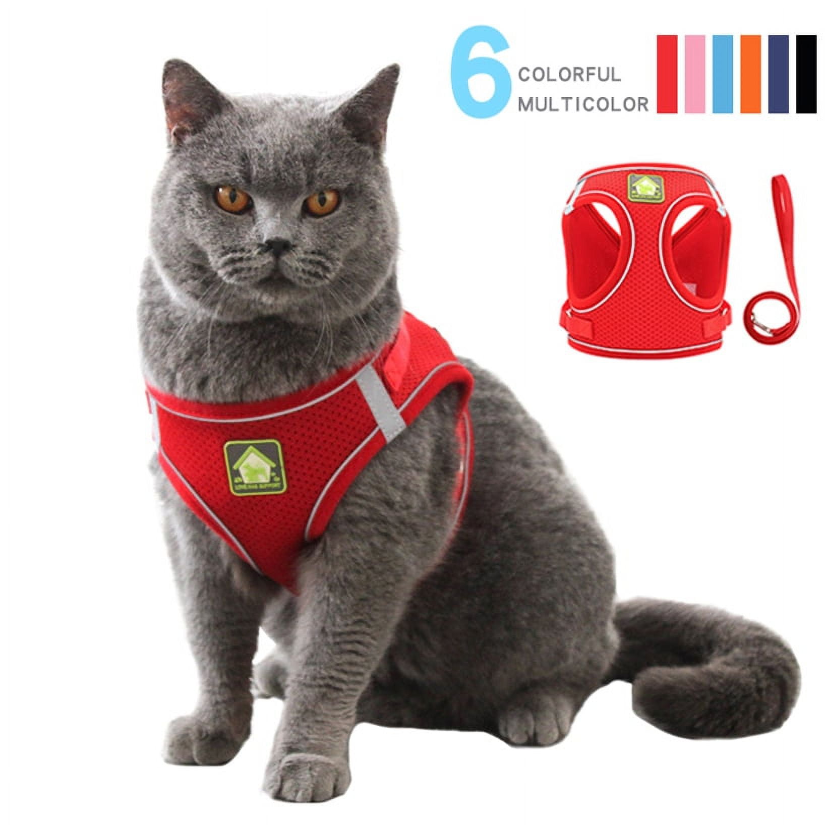 Fashionable and Practical Pet Owners‘ Top Choice: Stylish and ...