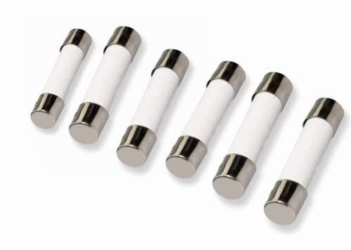 Fast Acting Ceramic Cartridge Fuse Fuses Replacements for Generac ...