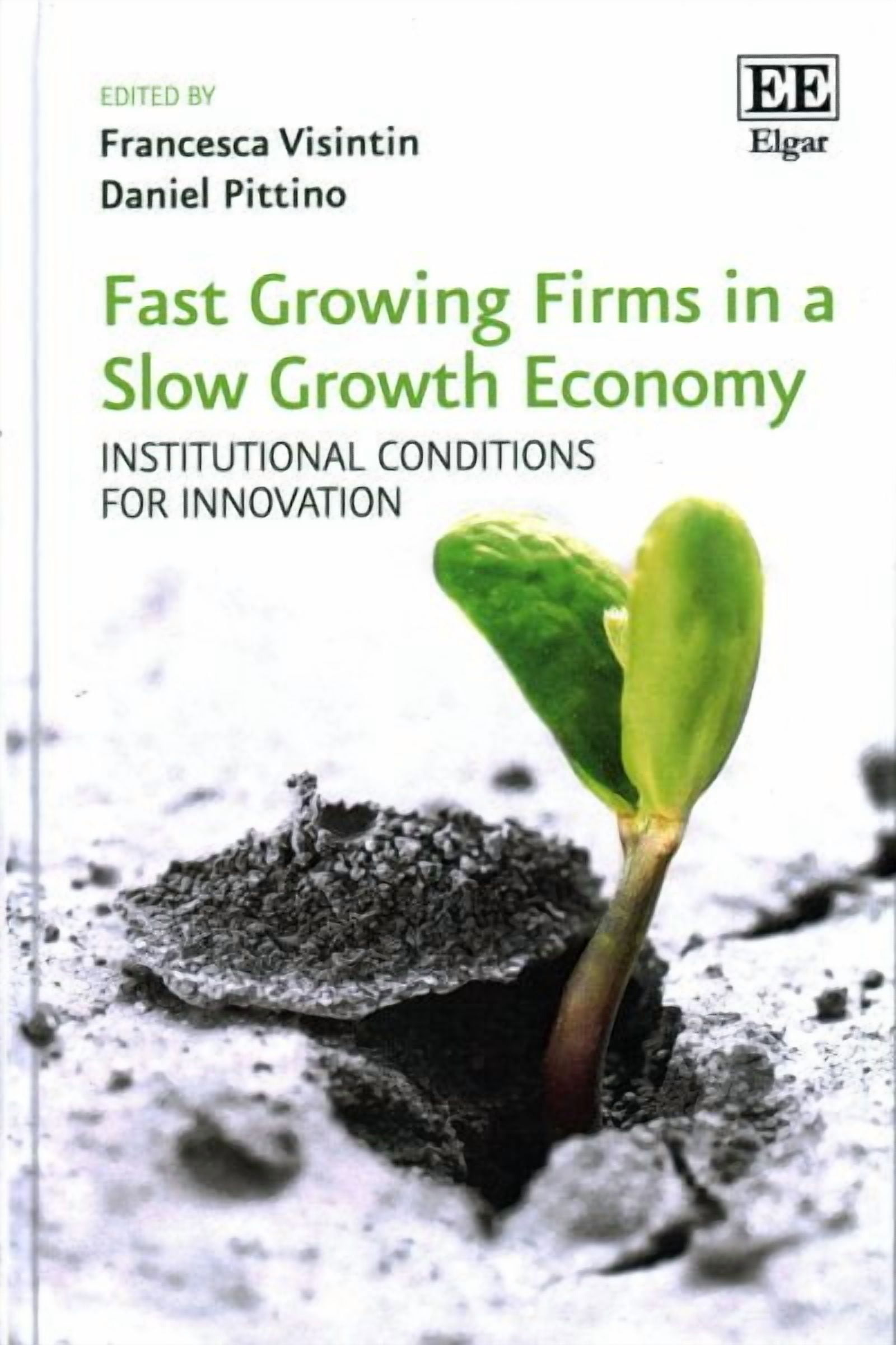 Fast Growing Firms in a Slow Growth Economy - Walmart.com