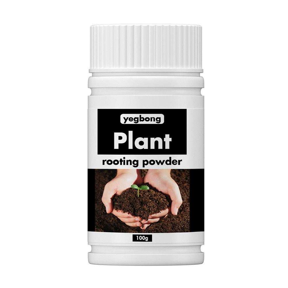 Fast Rooting Powder Extra Fast Plant Flower Germinator Growth Powder ...