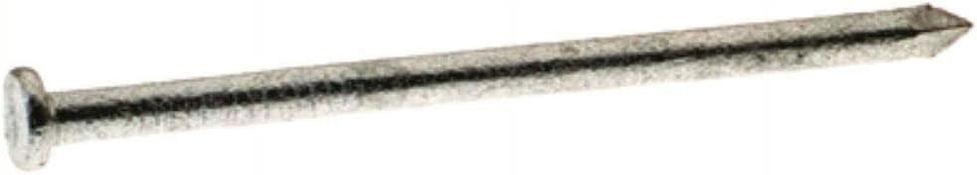 Fasteners Galvanized Common Nail 20d 5lb - Walmart.com