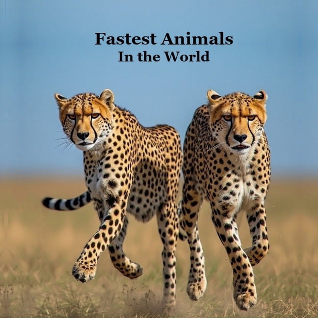 Fastest Animals in the World Kids Book: Great Book about the Fast ...