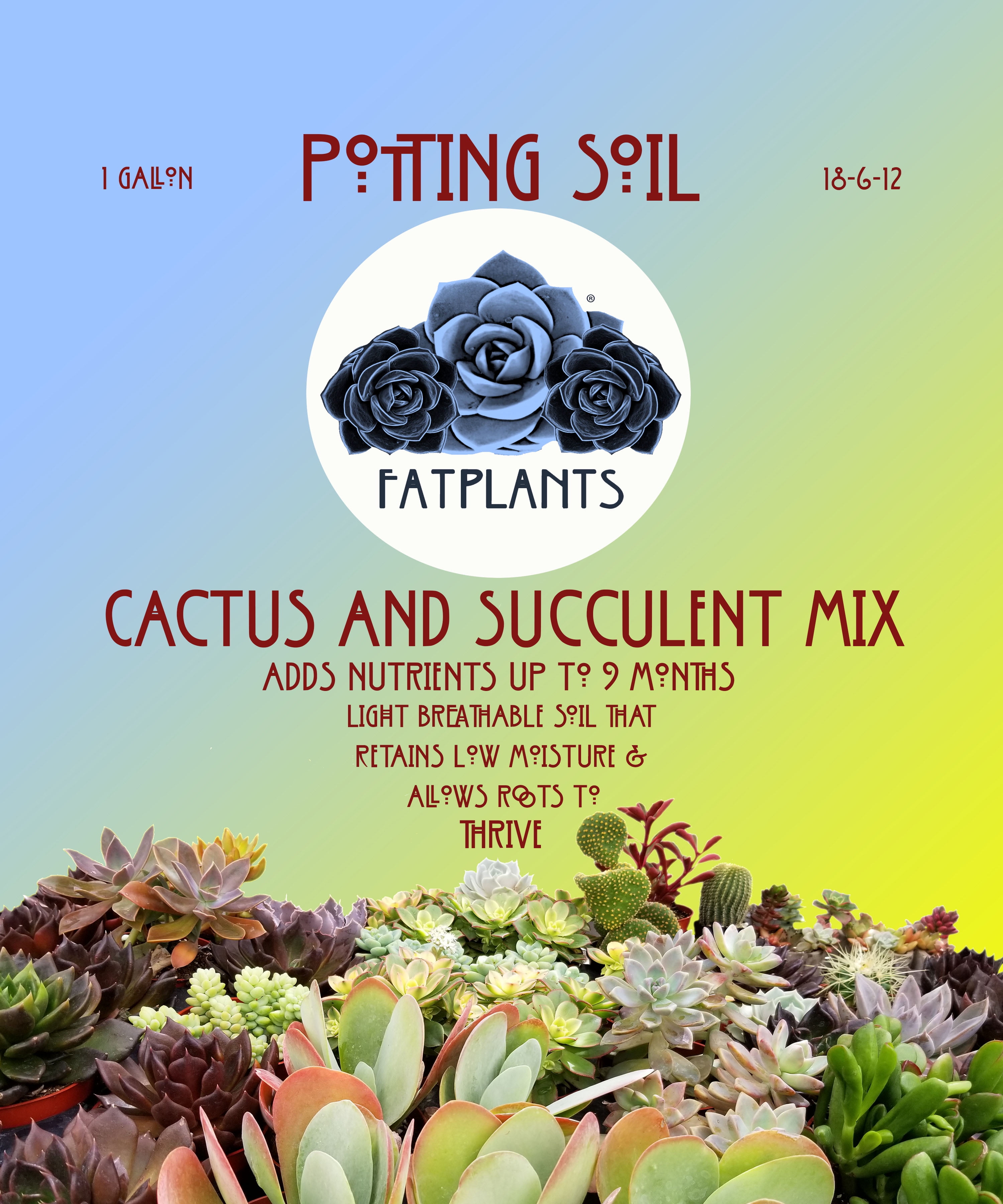 Fat Plants San Diego Cactus and Succulent Soil, 1 Gal - Walmart.com