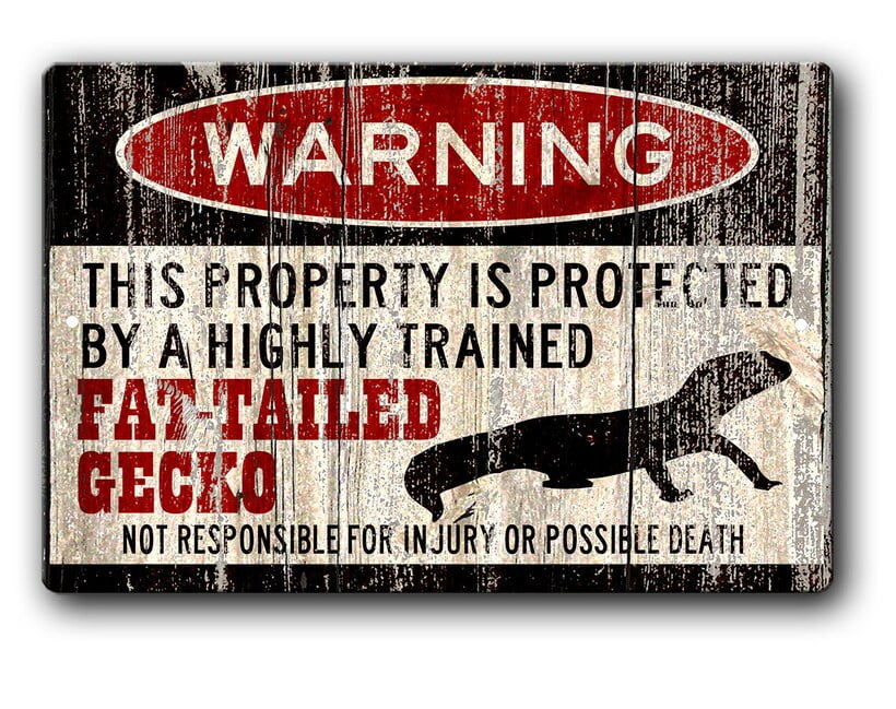 Fat-Tailed Gecko Sign,Funny Metal Signs,Fat Tail Gecko Gift,Gecko ...