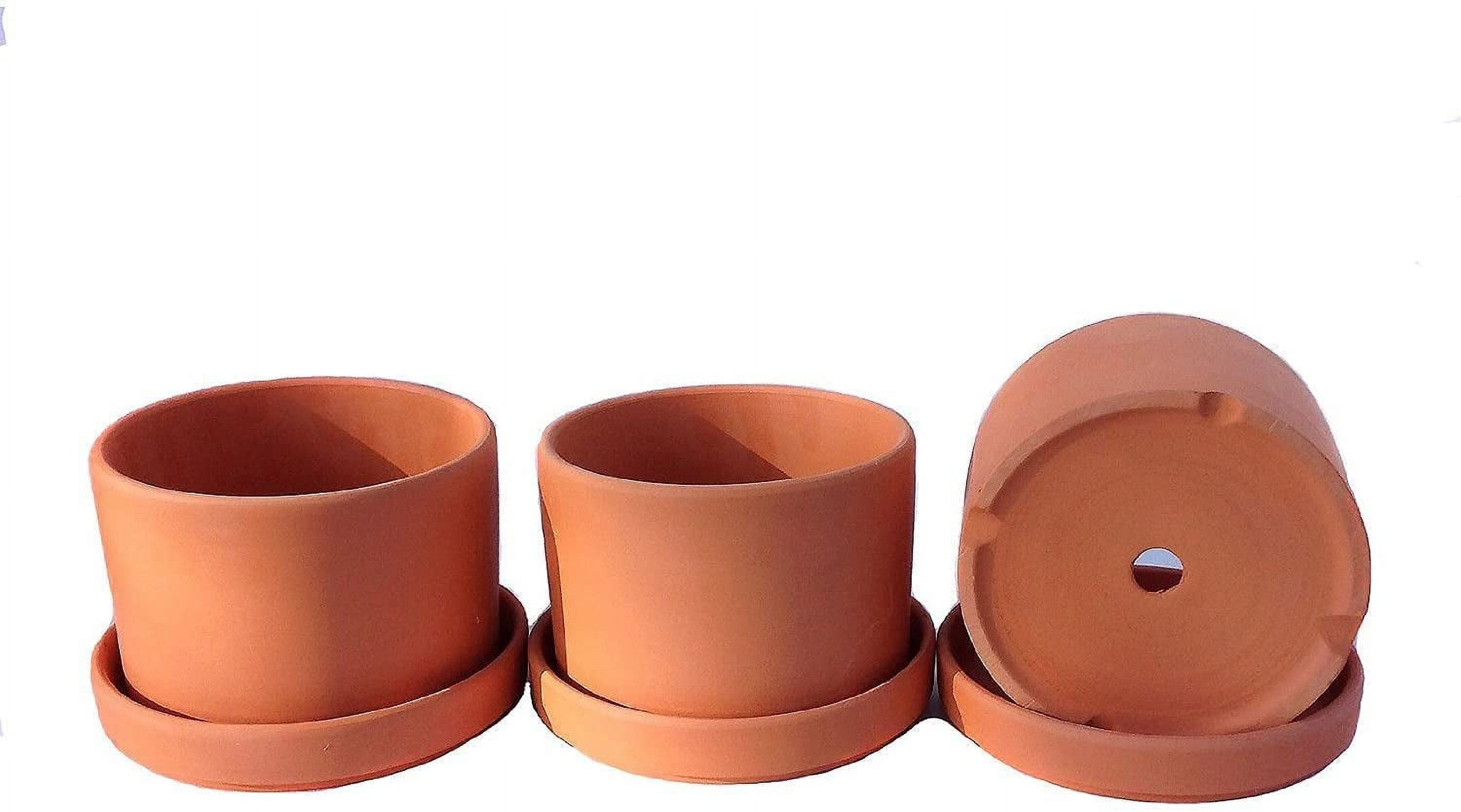 Fat Walled Terracotta Planter with Drainage Hole and Saucer Cylindrical ...