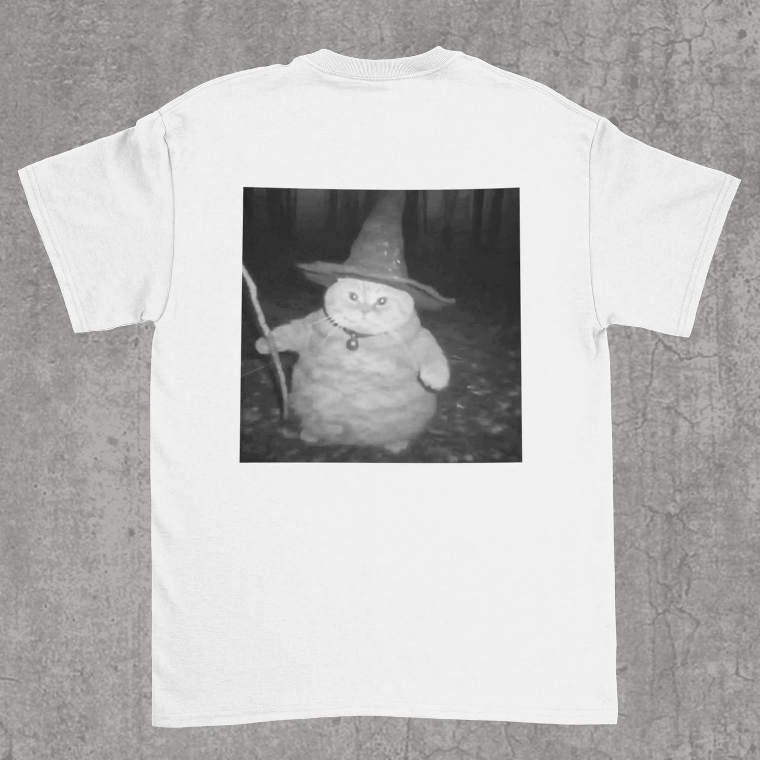 Fat Wizard Cat Shirt, Picture of fat cat wizard in the woods, funny cat ...