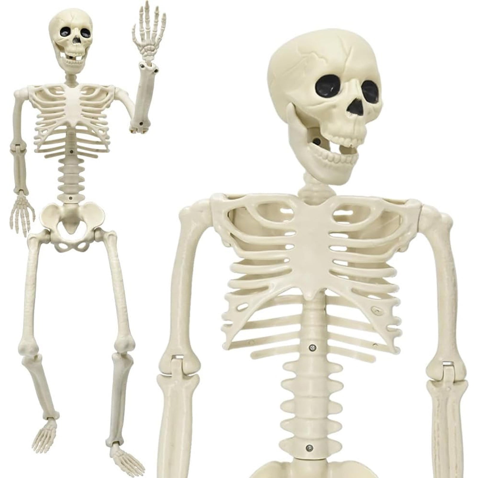 Fattazi Halloween Skeletons Decorations, 36" Full Body Realistic Faux ...