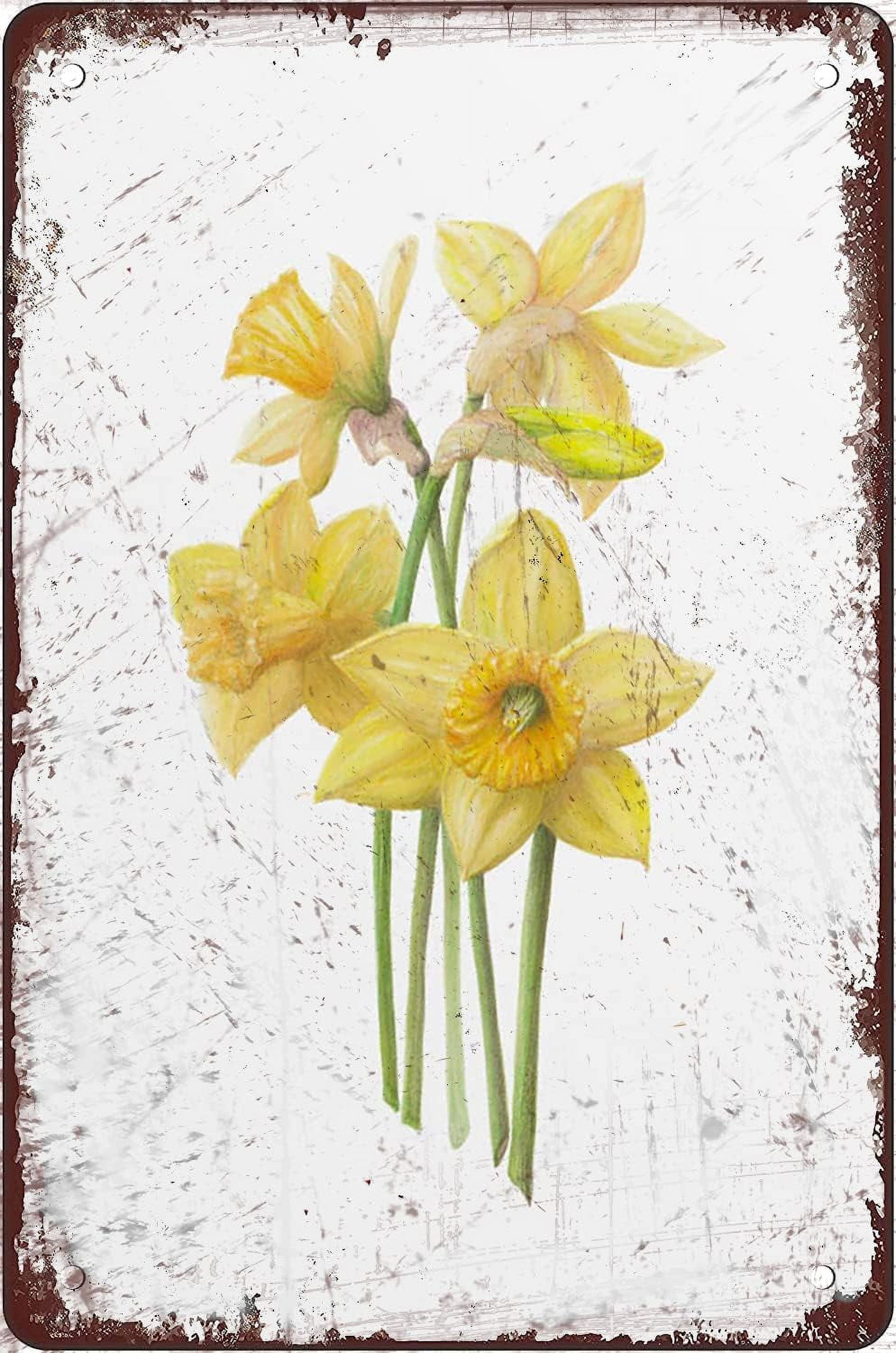 Faty-T 12x8 inch It's Springtime Tin Sign Easter Poster Wall Decor ...