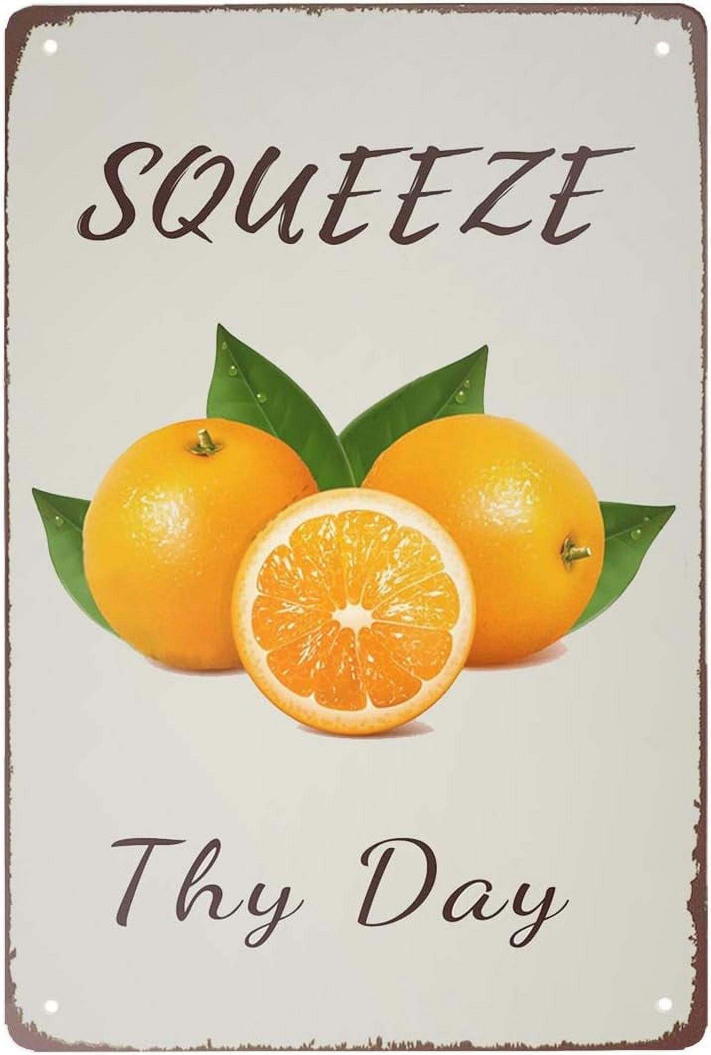 Faty-T 12x8 inch Squeeze Thy Day Orange Tin Signs Vintage Kitchen ...