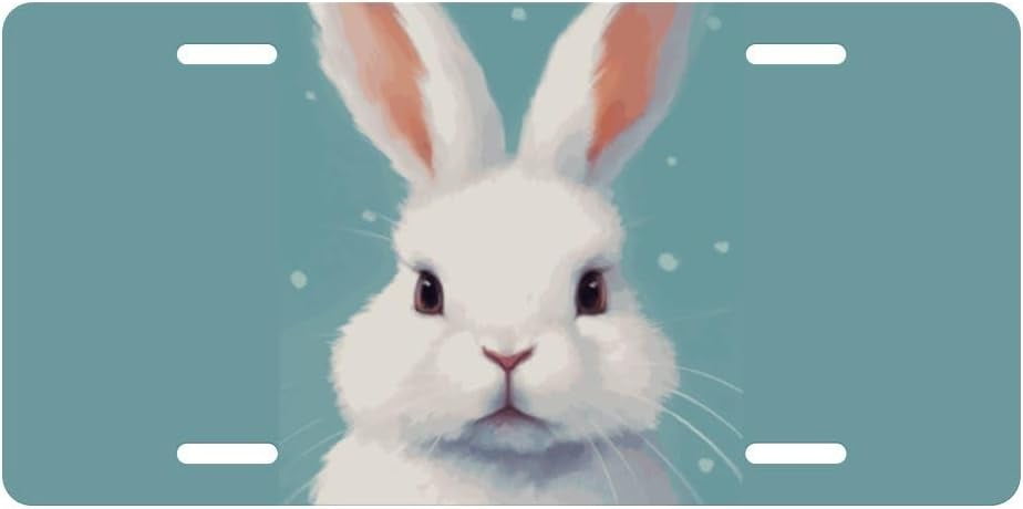 Faty-T Cute White Rabbit Front License Plate,License Plate Funny Car ...