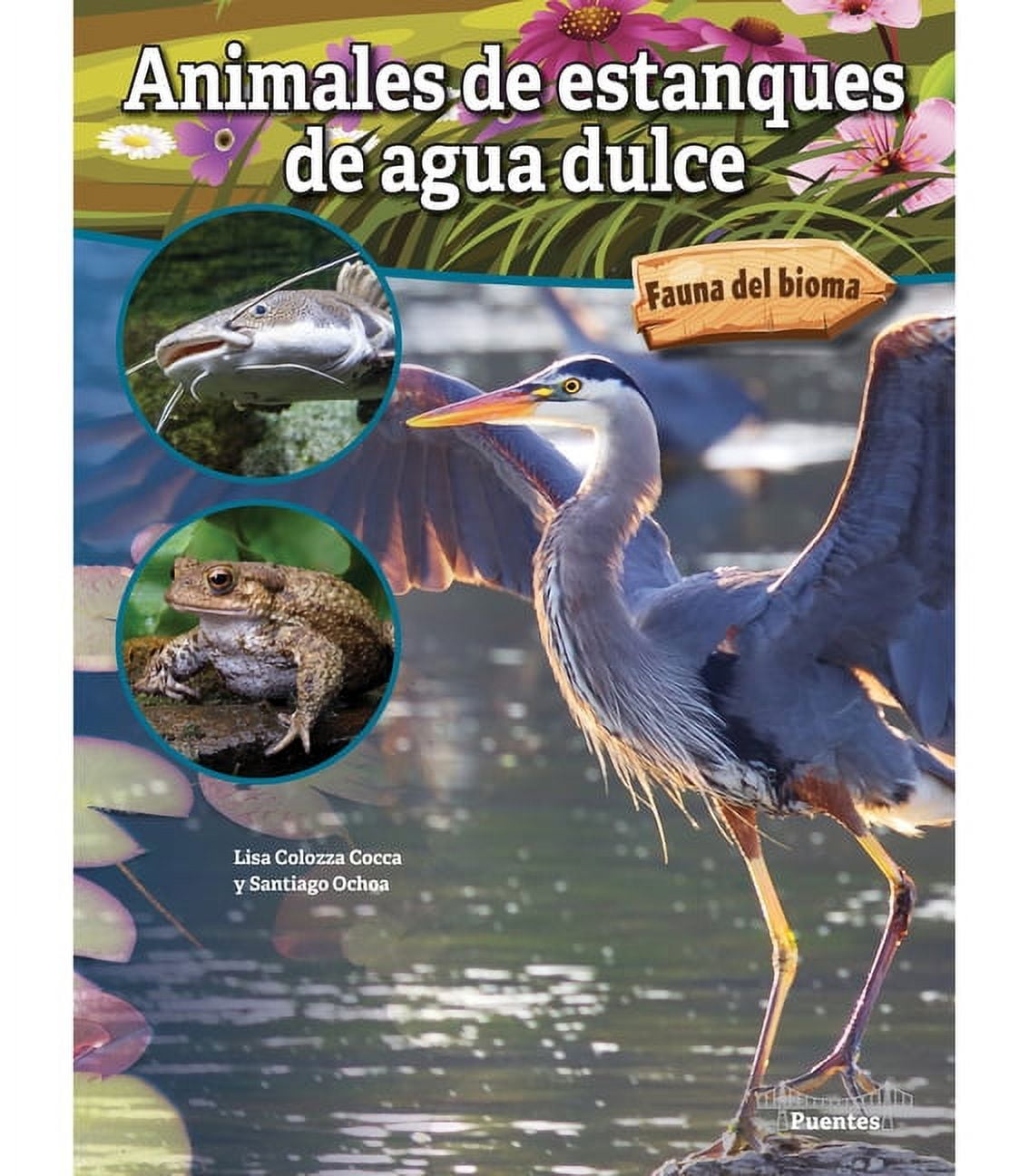 Fauna del Bioma Animales de Estanques de Agua Dulce: Freshwater Pond ...