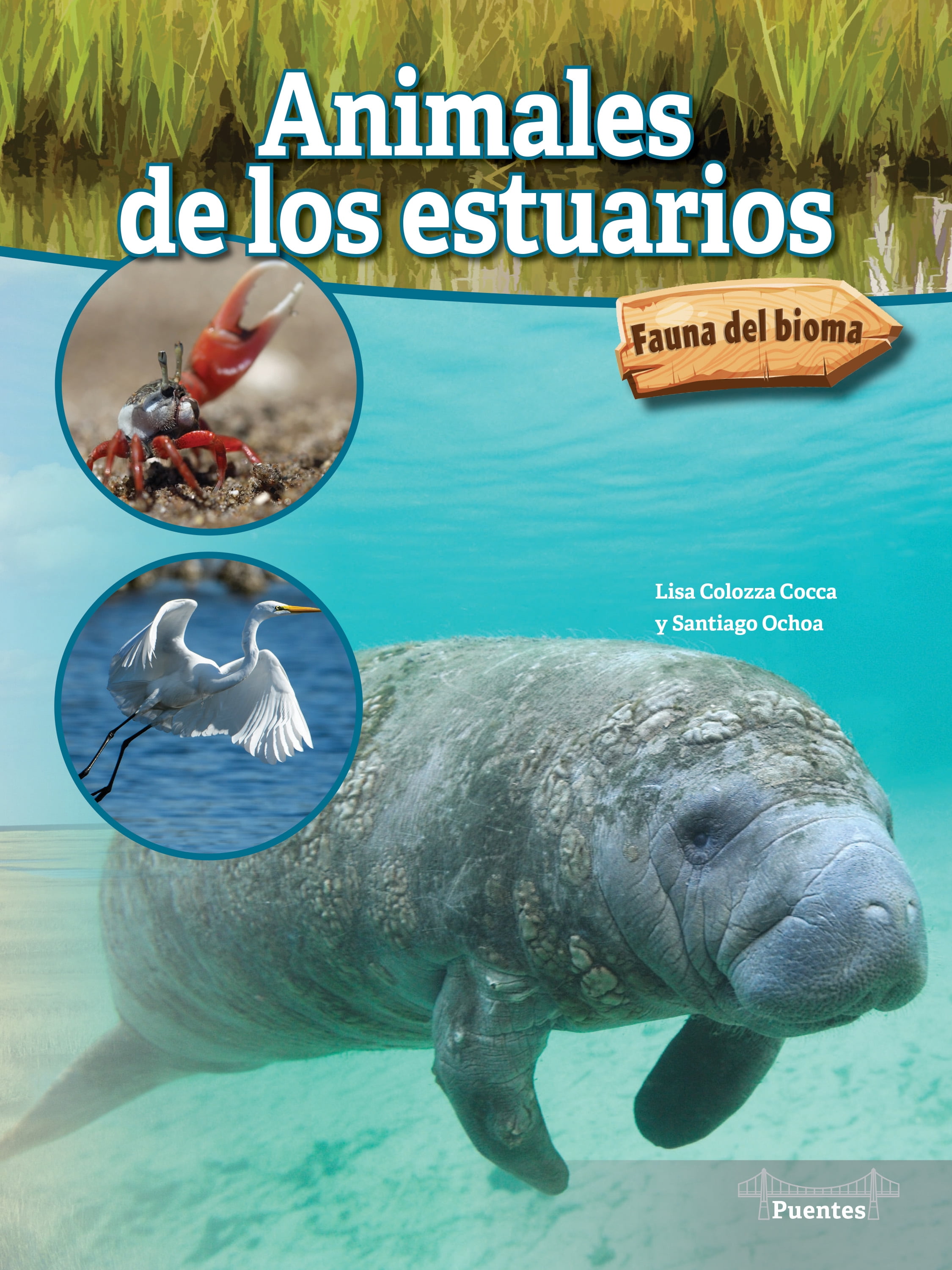 Fauna del bioma: Animales de los estuarios : Estuary Animals (Hardcover ...