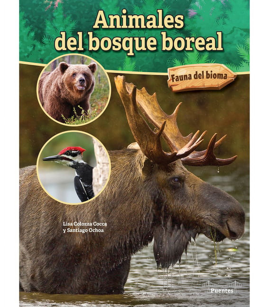 Fauna del Bioma Animales del Bosque Boreal: Boreal Forest Animals ...