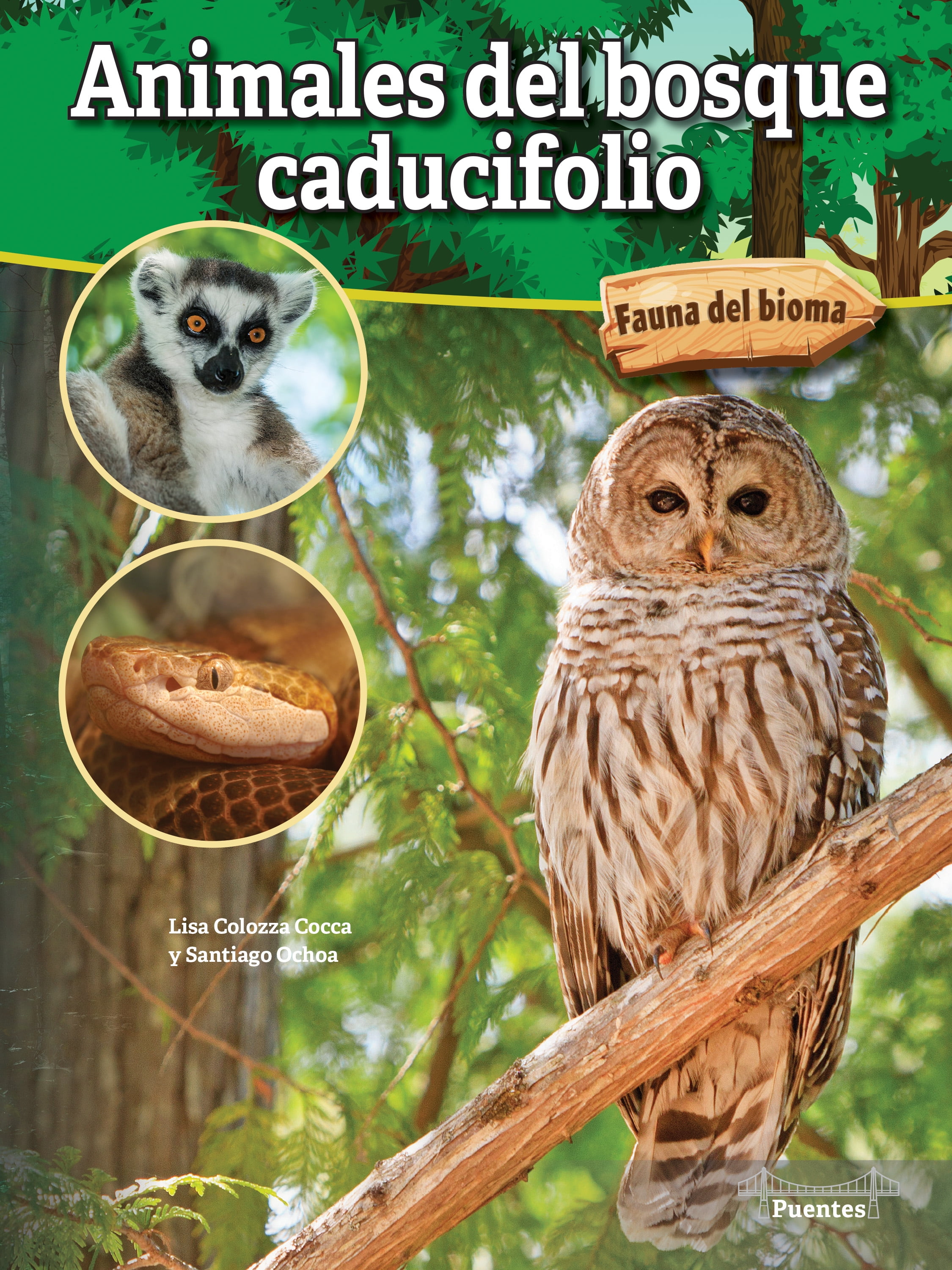 Fauna del bioma: Animales del bosque caducifolio : Deciduous Forest ...