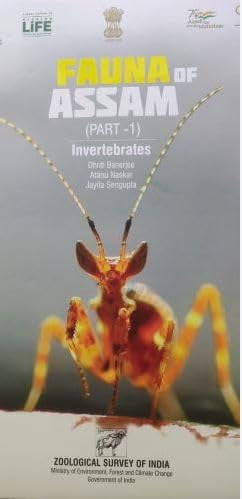 Fauna of Assam Invertebrates (English Version) - Walmart.com