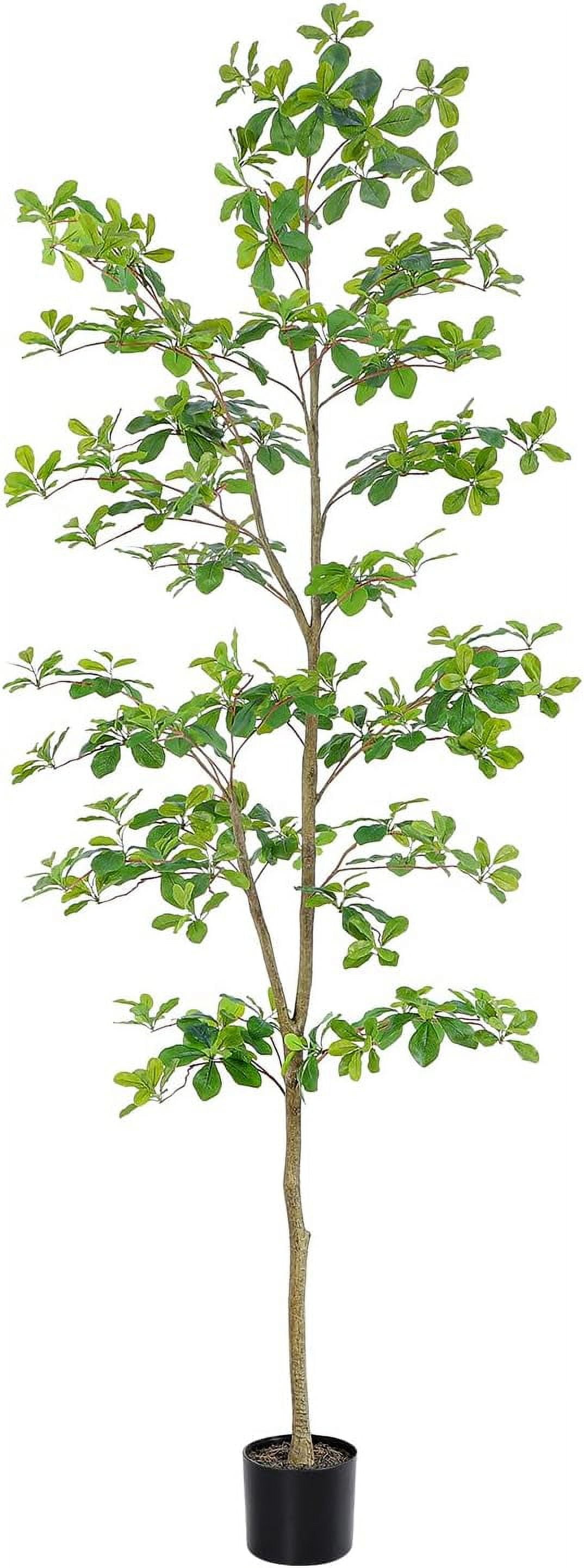 Faux Black Olive Tree 7ft, Tall Faux Trees Indoor with Natural Trunk ...