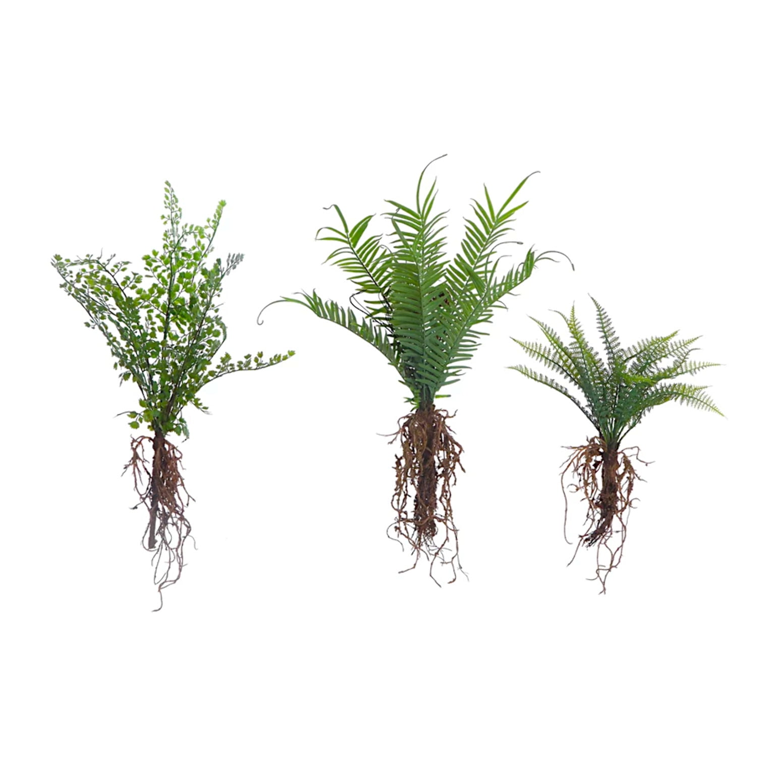 Faux Ferns with Exposed Roots - Walmart.com