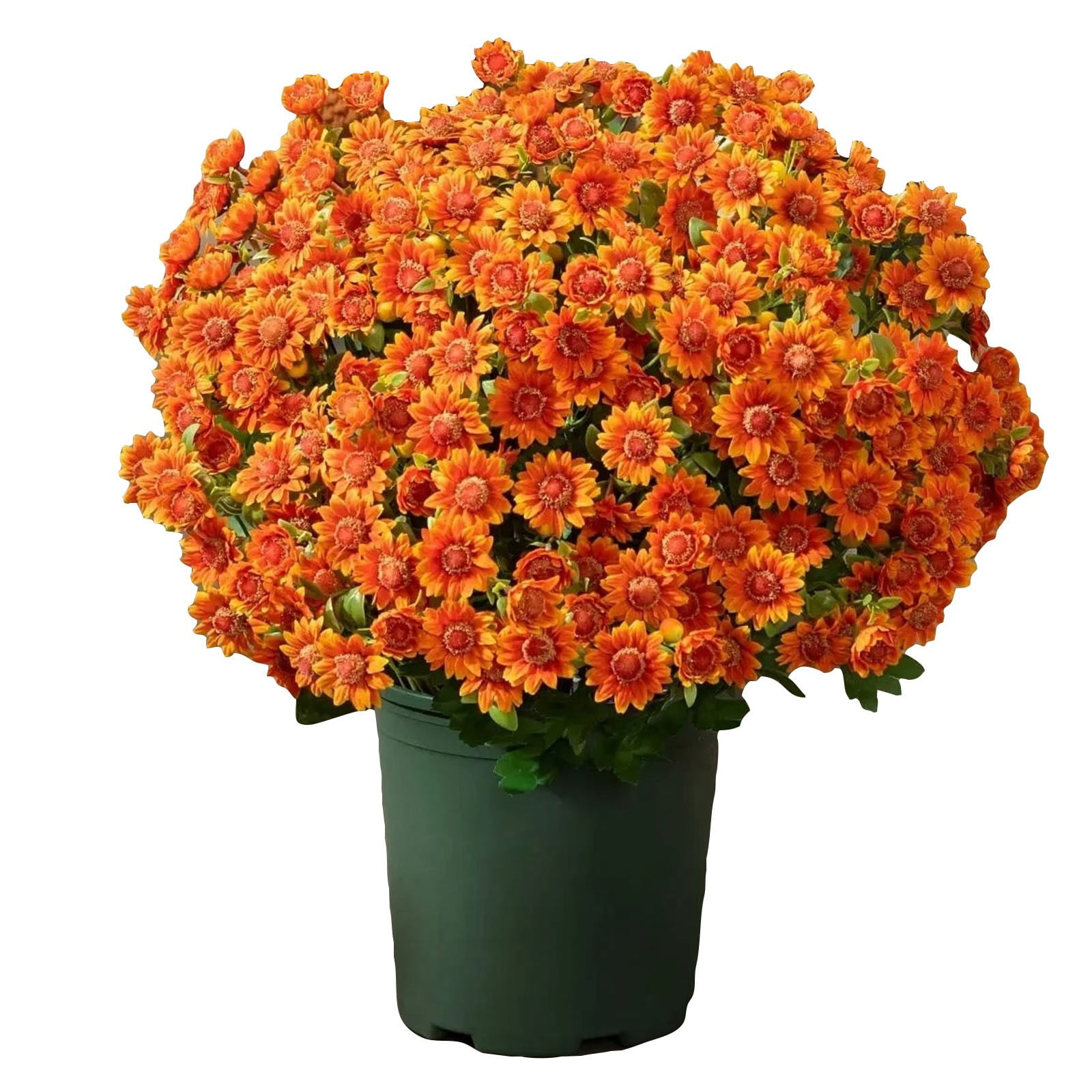 Faux Mums for Outdoor Planters Fall Decorations for Home Porch Hanging ...
