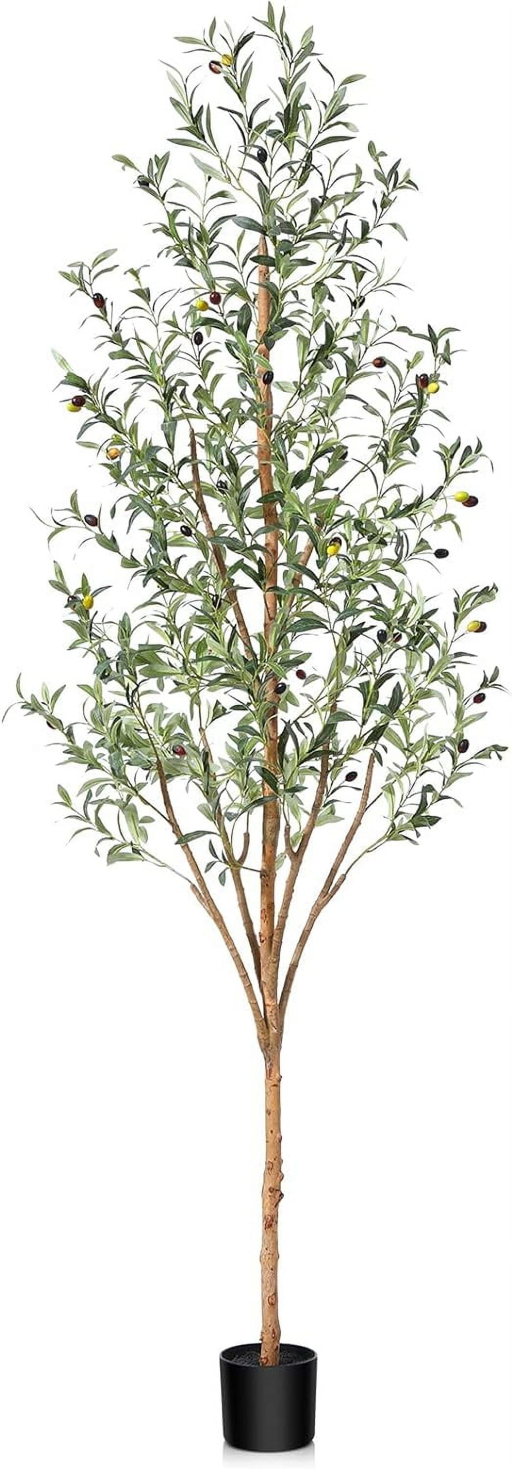 Faux Olive Tree 6ft, Lush Artificial Olive Tree for Indoor with Natural ...