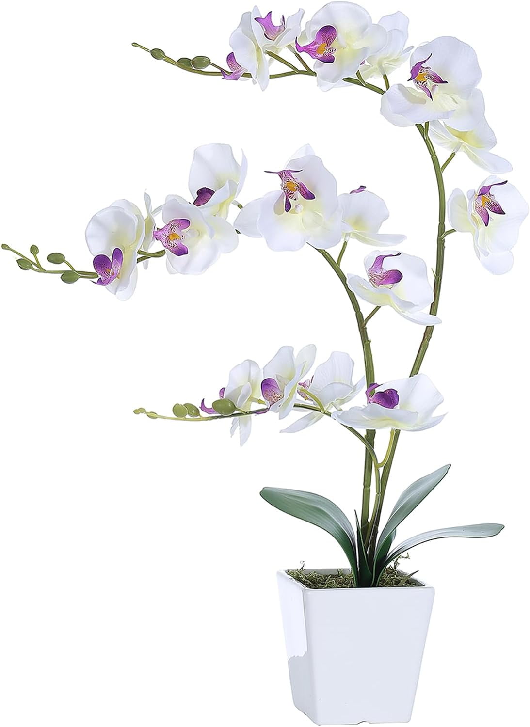 Faux Orchid in Vase Large Artificial Orchid in Ceramic Vase Silk ...