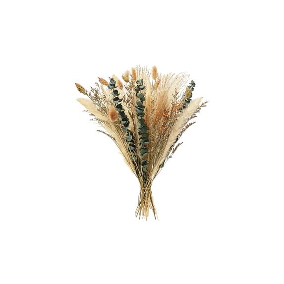 Faux Pampas Grass Decor 15-17 Inches Soft Bunny Tails Dried Flowers Set ...