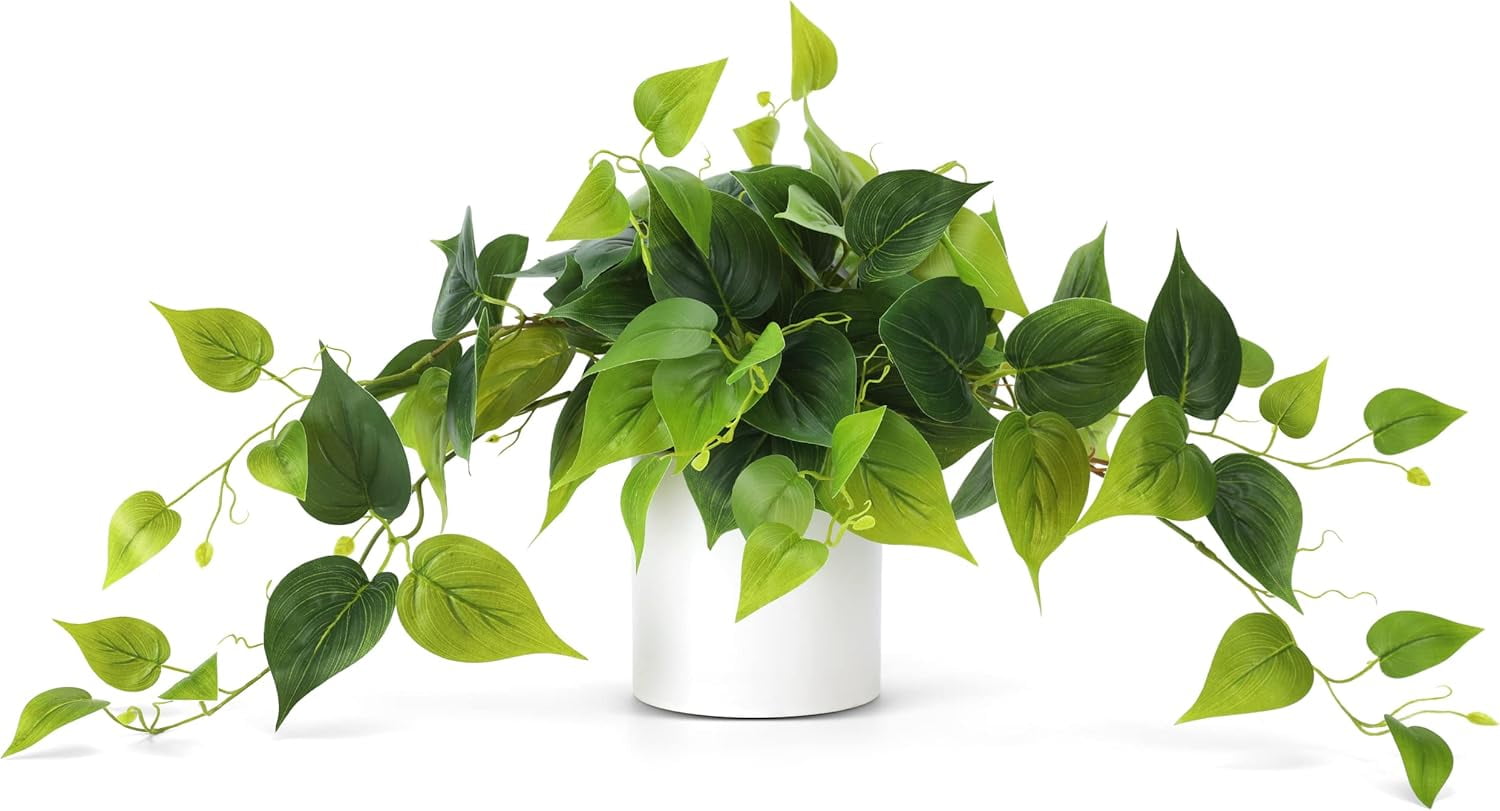 Faux Potted Plant - Fake Pothos Decorative Plants with White Ceramic ...