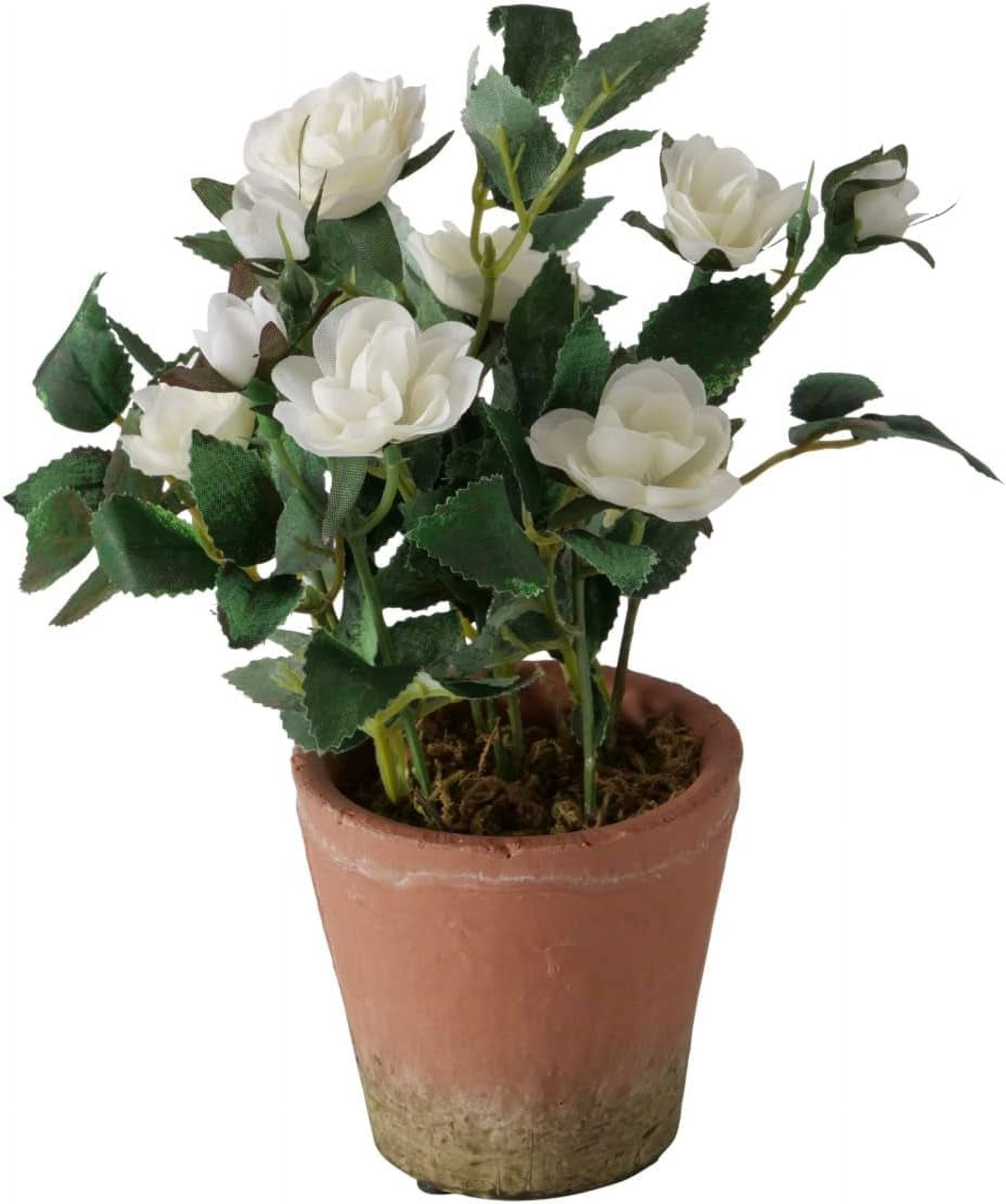 Faux Potted White Sweetheart Rose Bush, Fake Terracotta Pot, Mossy ...