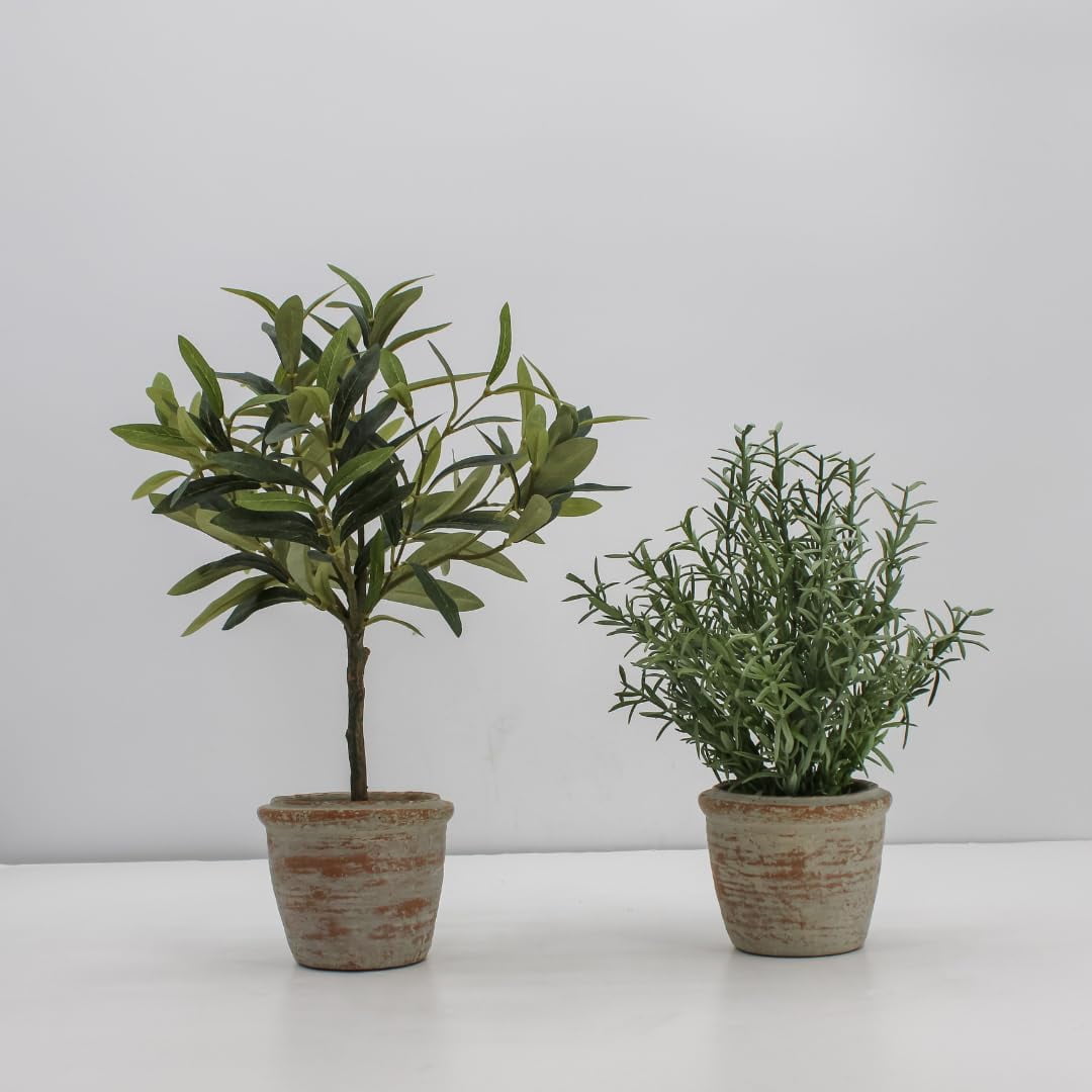 Faux Rosemary & Olive Topiary, Set-of-2 Premium Artificial Indoor ...