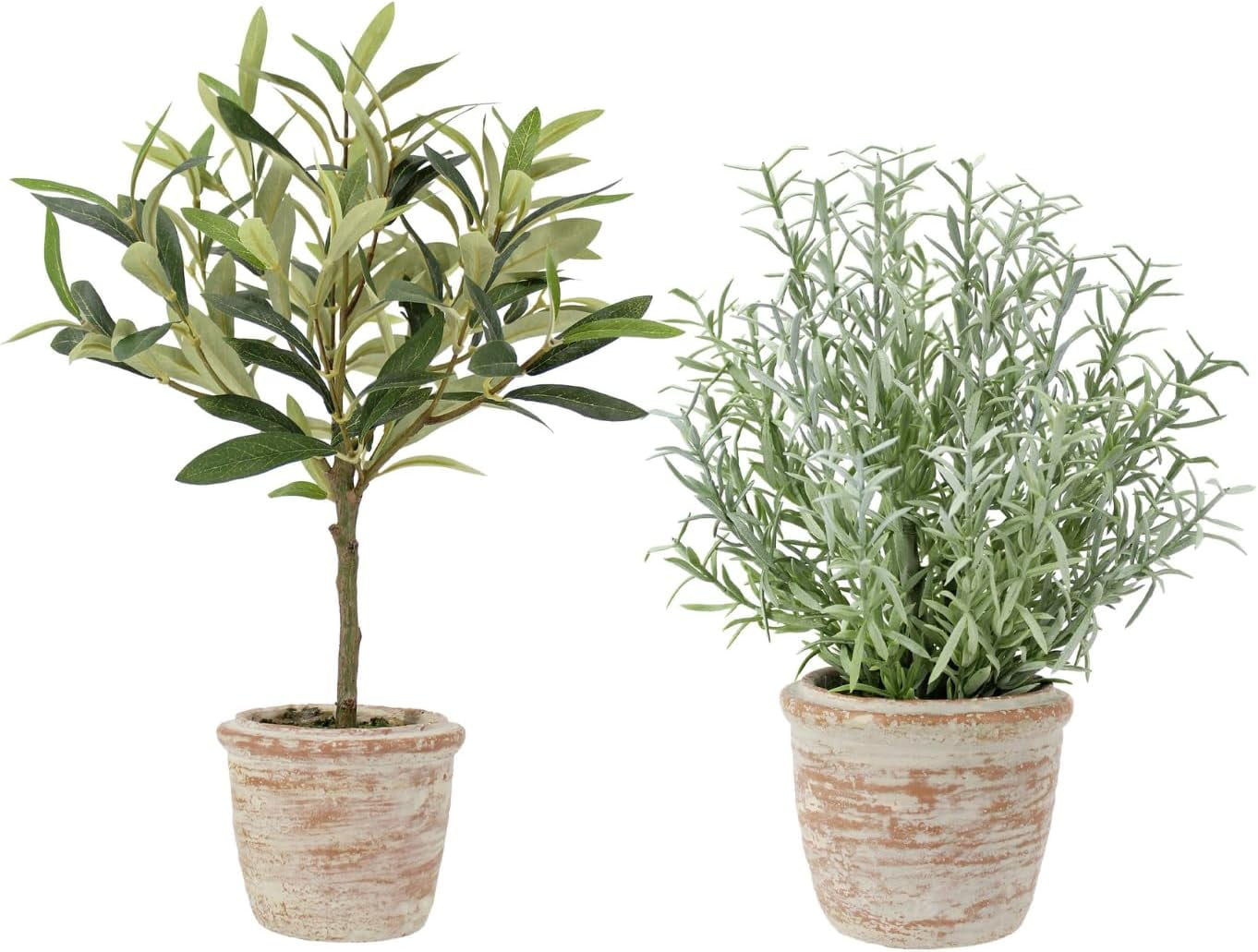 Faux Rosemary Plant & Olive Topiary, Set-of-2 Premium Artificial Indoor ...