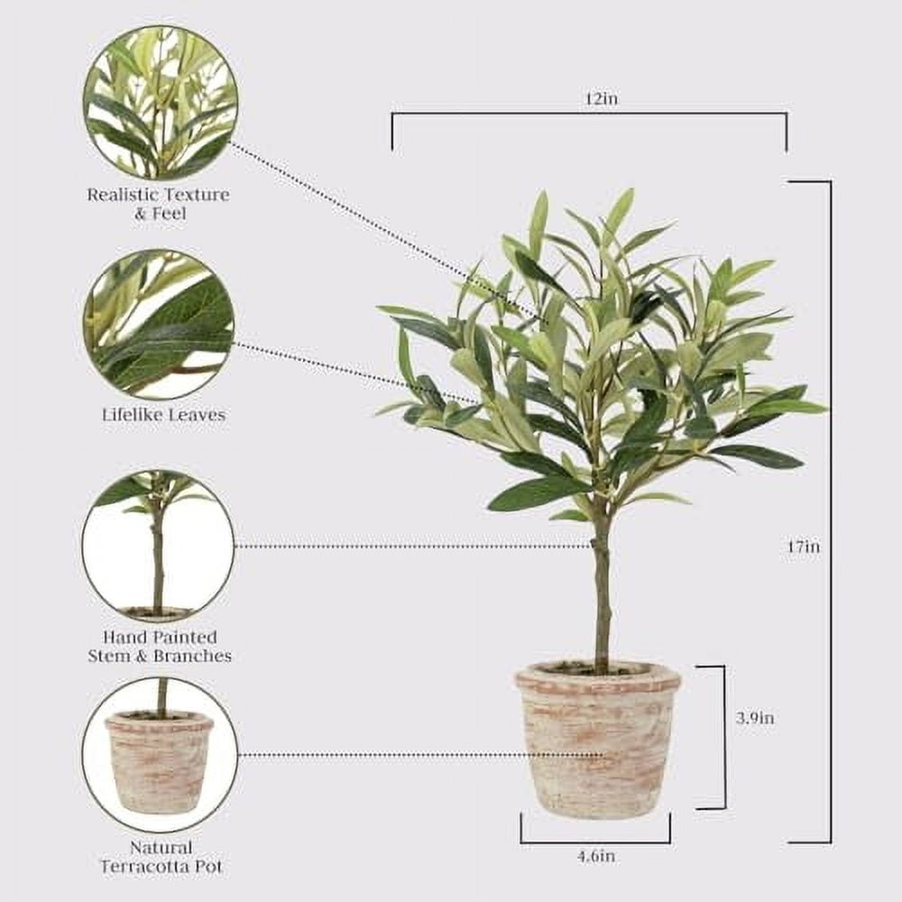 Faux Rosemary Plant & Olive Topiary, Set-of-2 Premium Artificial Indoor ...