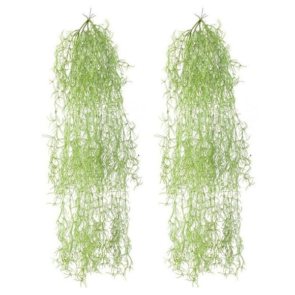 Spanish Moss