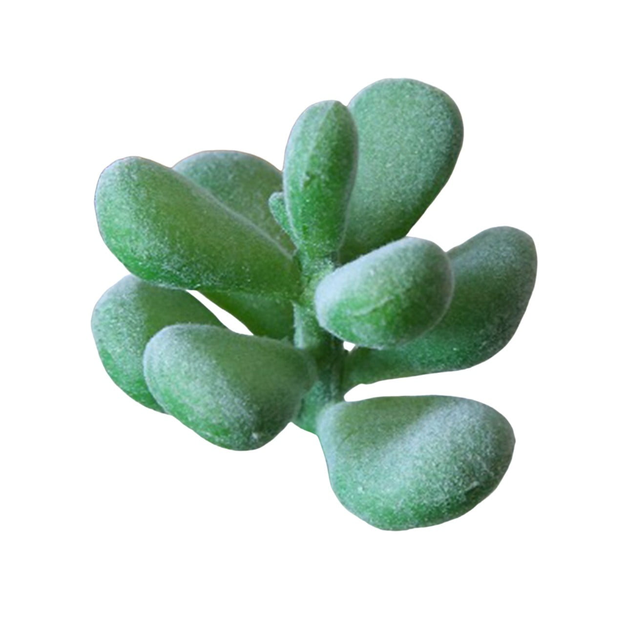 Faux Succulents, Artificial Succulent Plants, Realistic Flocked ...