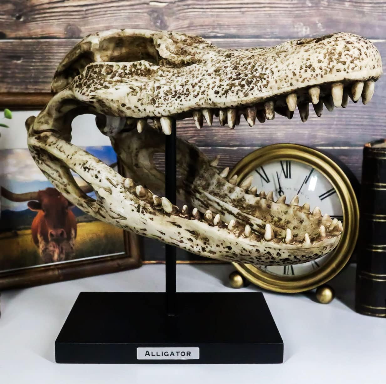 Faux Taxidermy Alli Baring Jaws Teeth Statue On Museum Gallery Pole ...