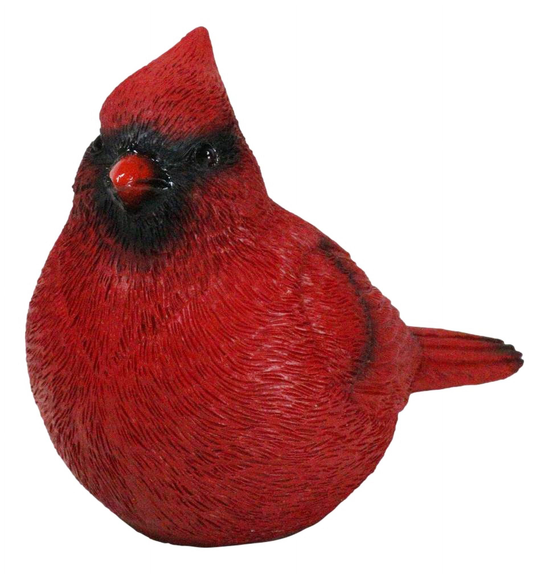 Faux Taxidermy Realistic Northern Male Red Cardinal Bird On Perch ...