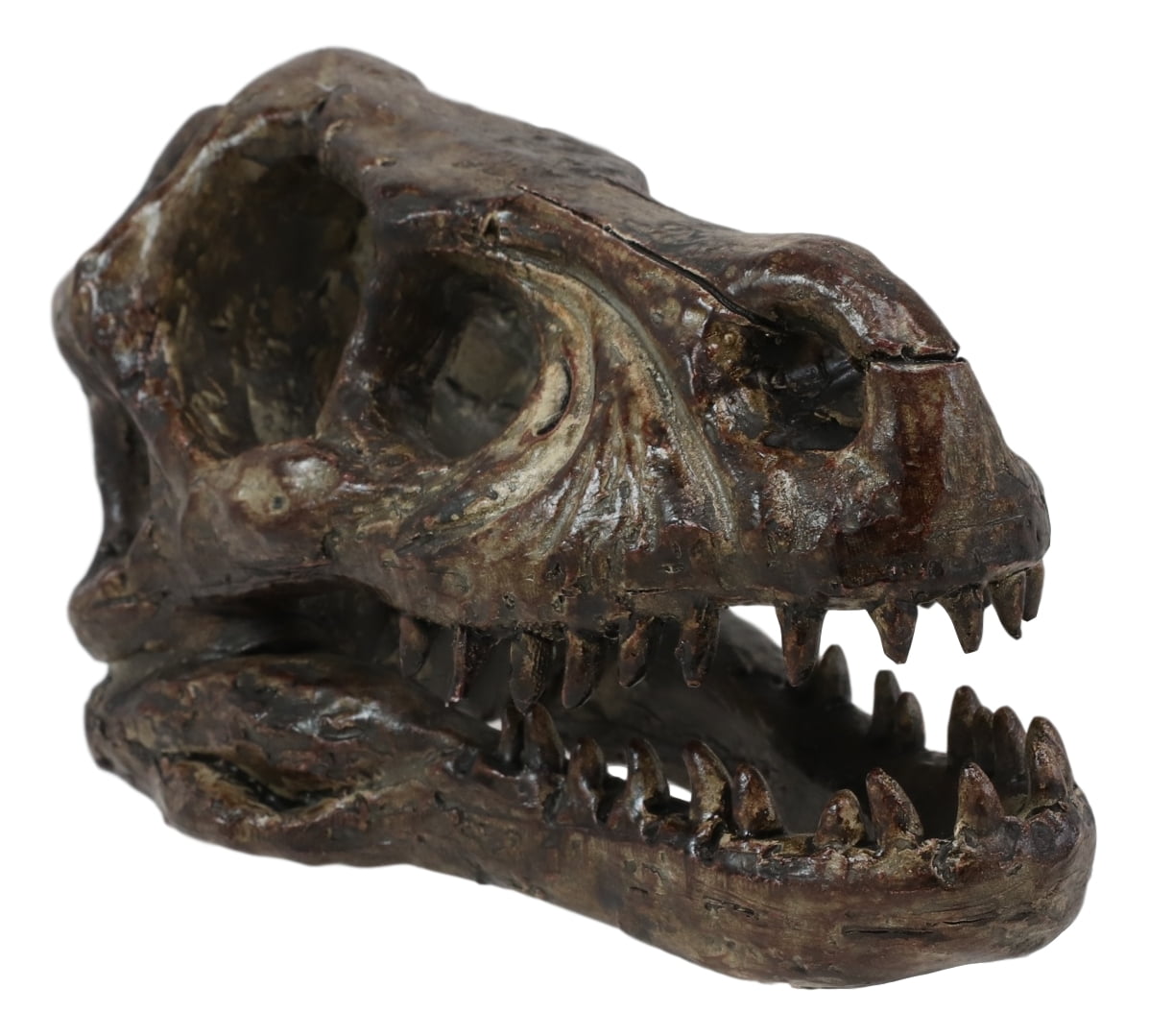 Faux Taxidermy Replica Velociraptor Dinosaur Head Fossil Small Skull ...