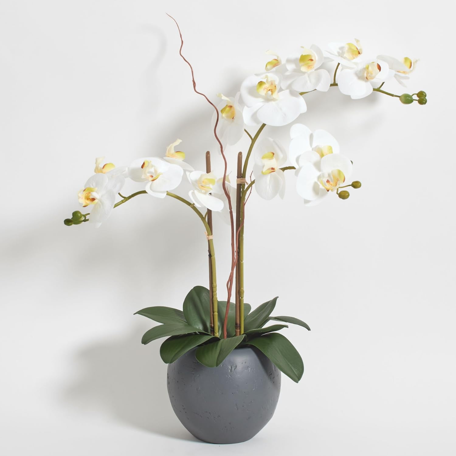 Faux White Orchid Plant, Premium Artificial Indoor Flower Display ...