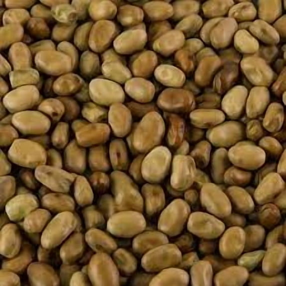 55LB Dry Fava Beans - Product Of Canada for Baking Needs - Walmart.com