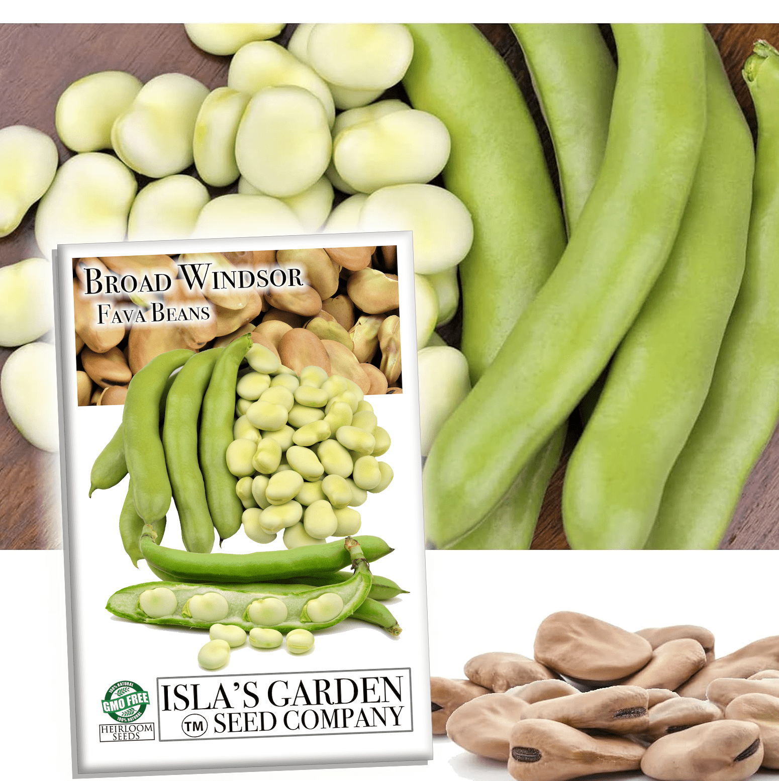 Fava Broad Windsor Bean Seeds, 20 Heirloom Seeds Per Packet, Non GMO ...