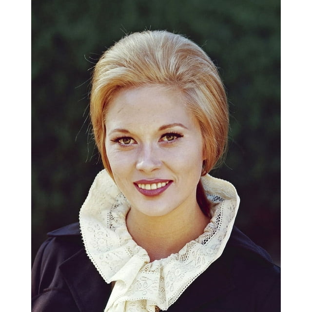 Faye Dunaway elegant 1960's portrait 24x36 Movie Poster HD Aluminum ...