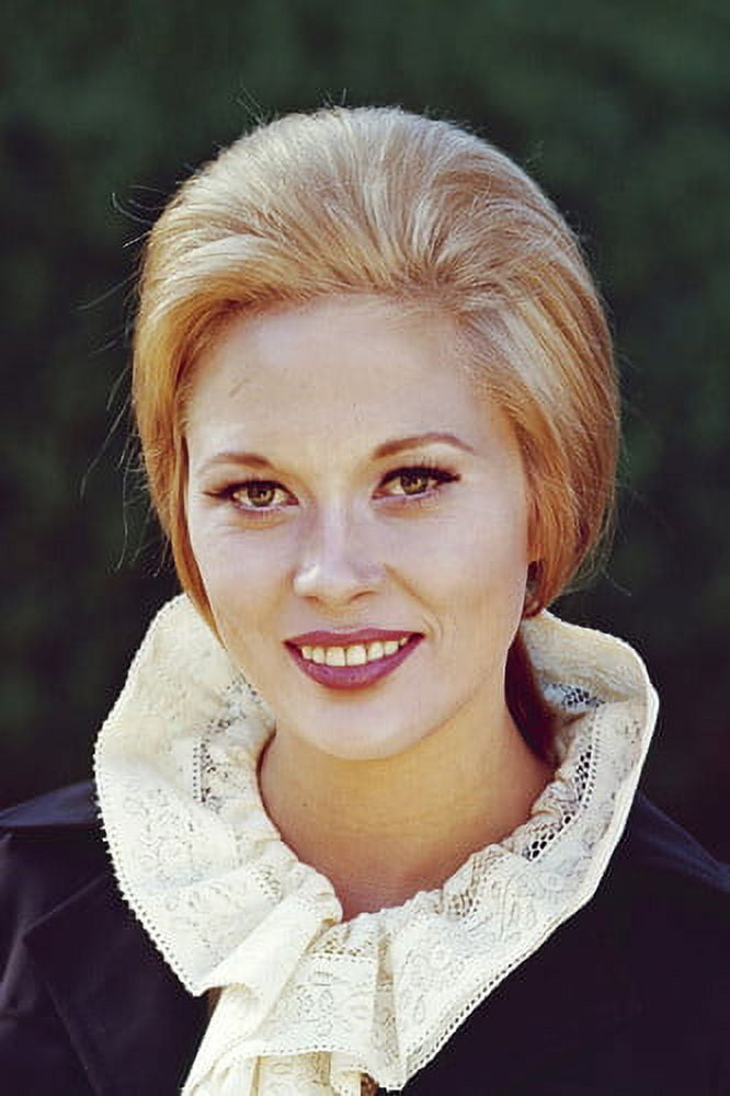 Faye Dunaway Elegant 1960s Portrait 24x36 Poster