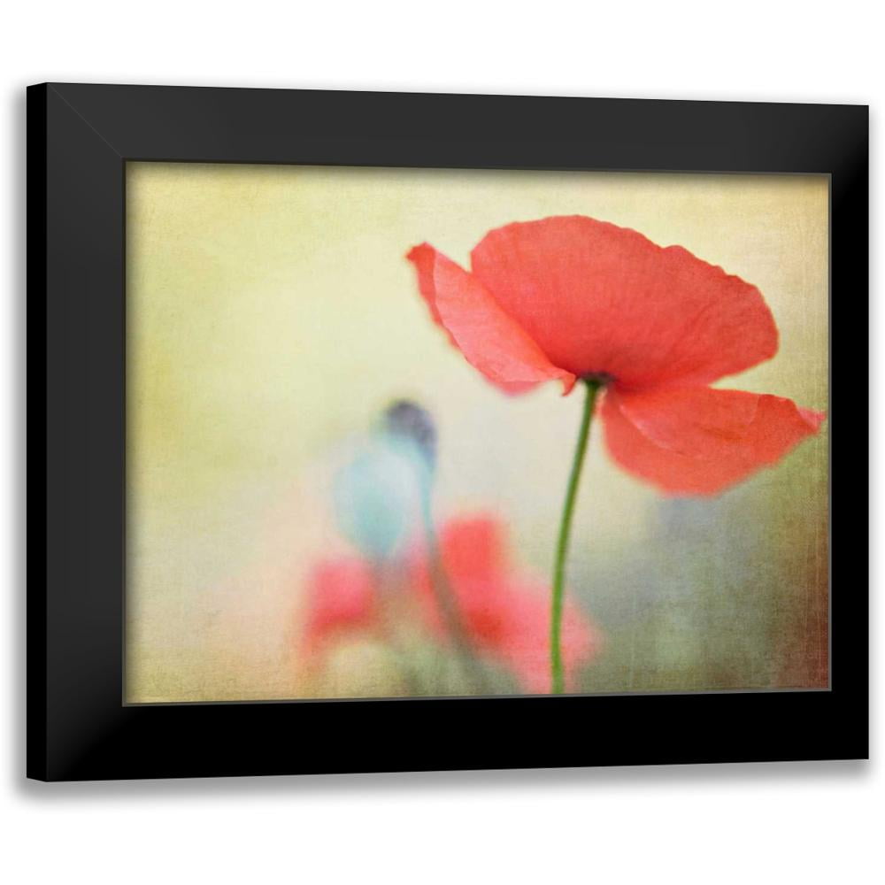 Fearheiley, Kim 14x12 Black Modern Framed Museum Art Print Titled ...