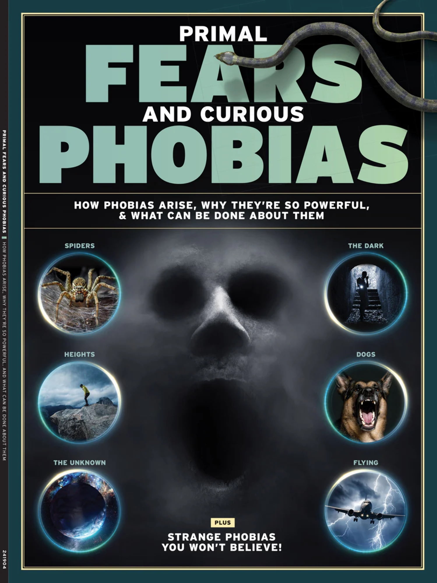 Fears Phobias - Sources Of Fears, Why They're So Powerful, Promising ...