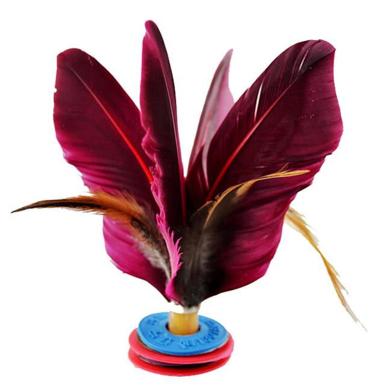 Feather Kick Shuttlecock Chinese Jianzi Sport, Wine Red - 3 Piece ...