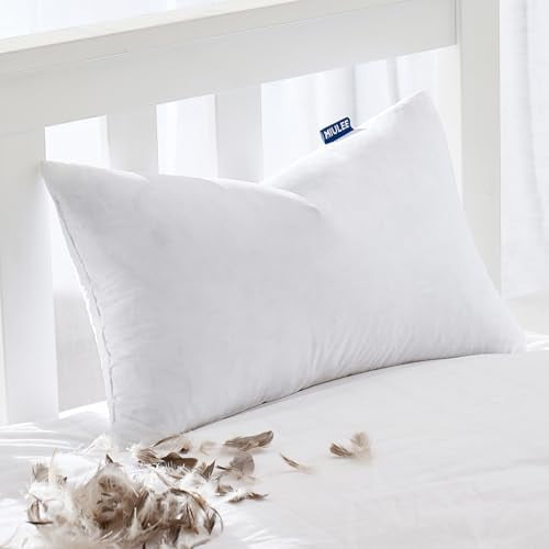 Feather Pillow Insert 12x20, Decorative Down Throw Pillow Insert Fluffy ...