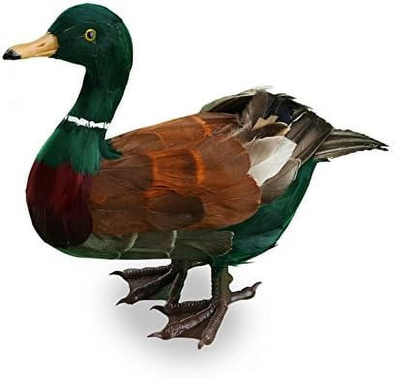 Feathered Artificial Mallard Duck for Indoor Decor - Walmart.com