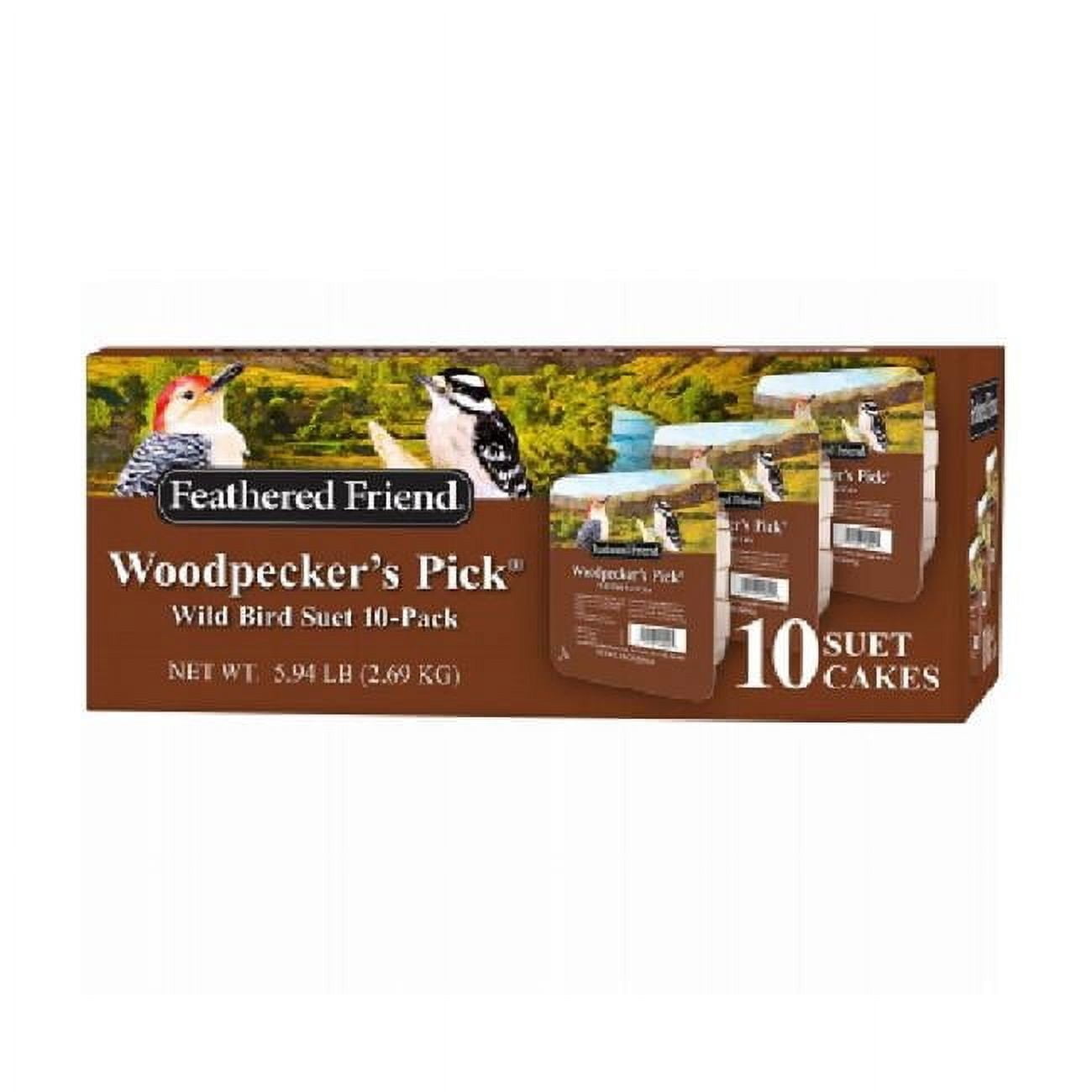 Feathered Friend 14379 Woodpecker Suet Wild Bird Food, 9.5 oz. Each, 10 ...