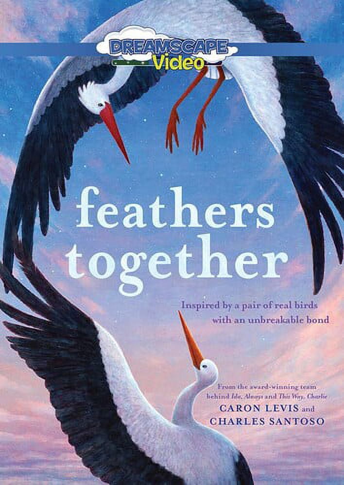 Feathers Together (DVD), Dreamscape, Animation - Walmart.com