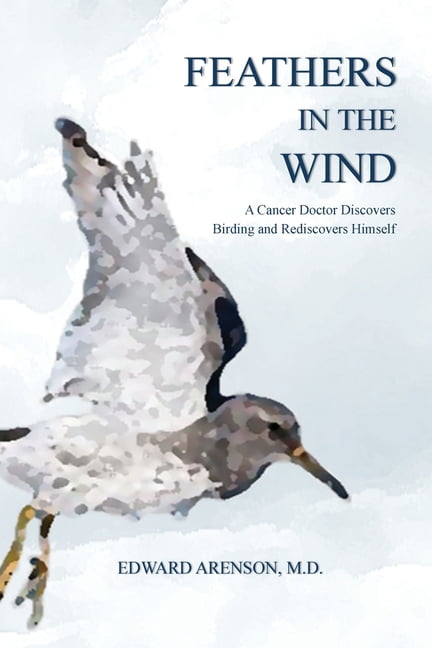 Feathers in the Wind, (Paperback) - Walmart.com