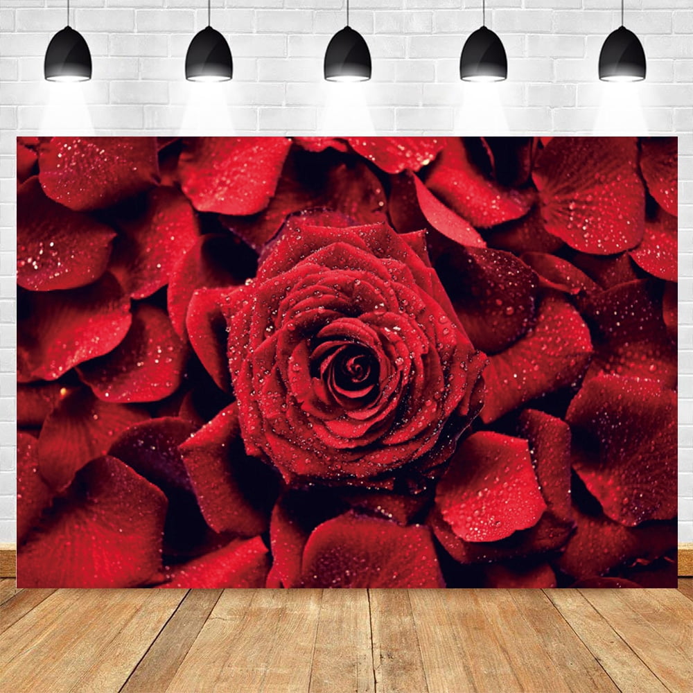 February 14 Valentine's Day Photography Backdrop Rose Flower Wood Floor ...