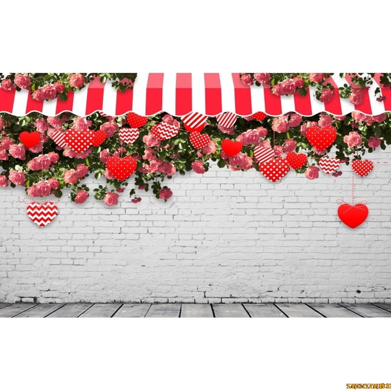 February 14 Valtine's Day Red Rose Flower Photography Backdrop tic ...